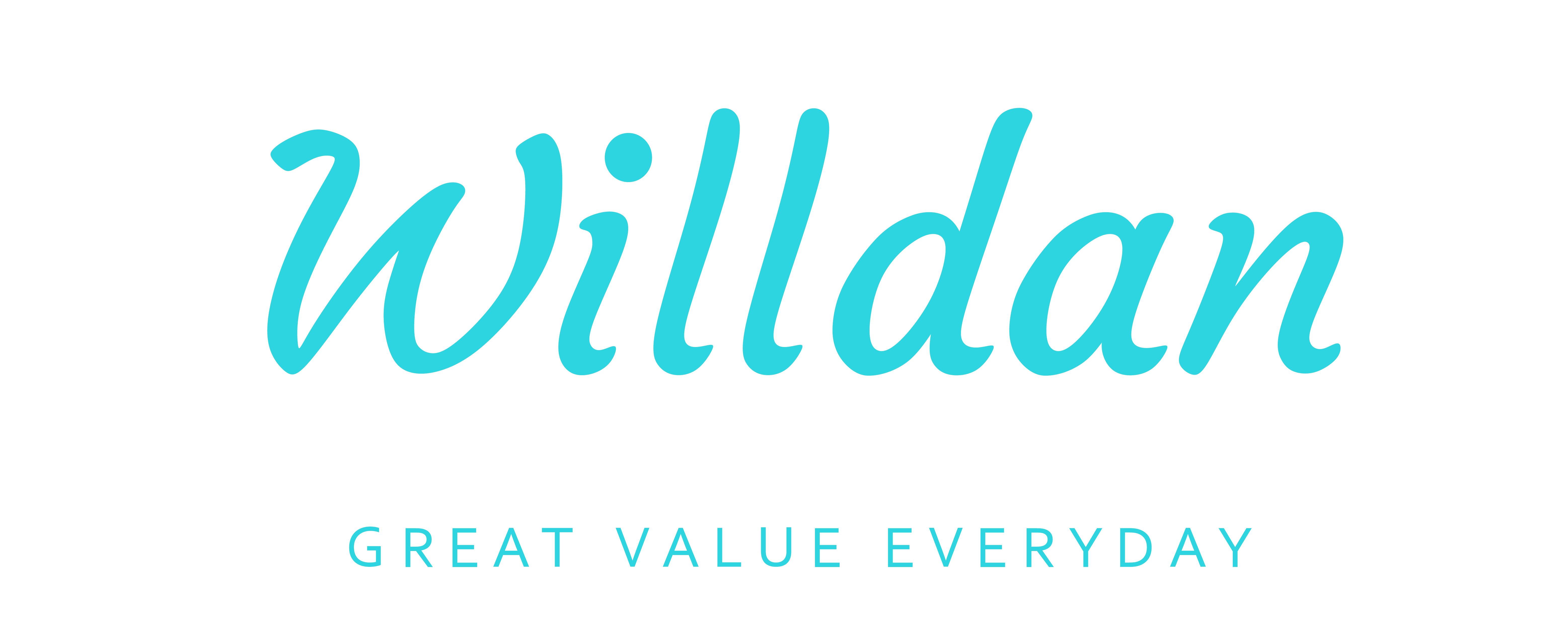 Amazon.com: WILLDAN