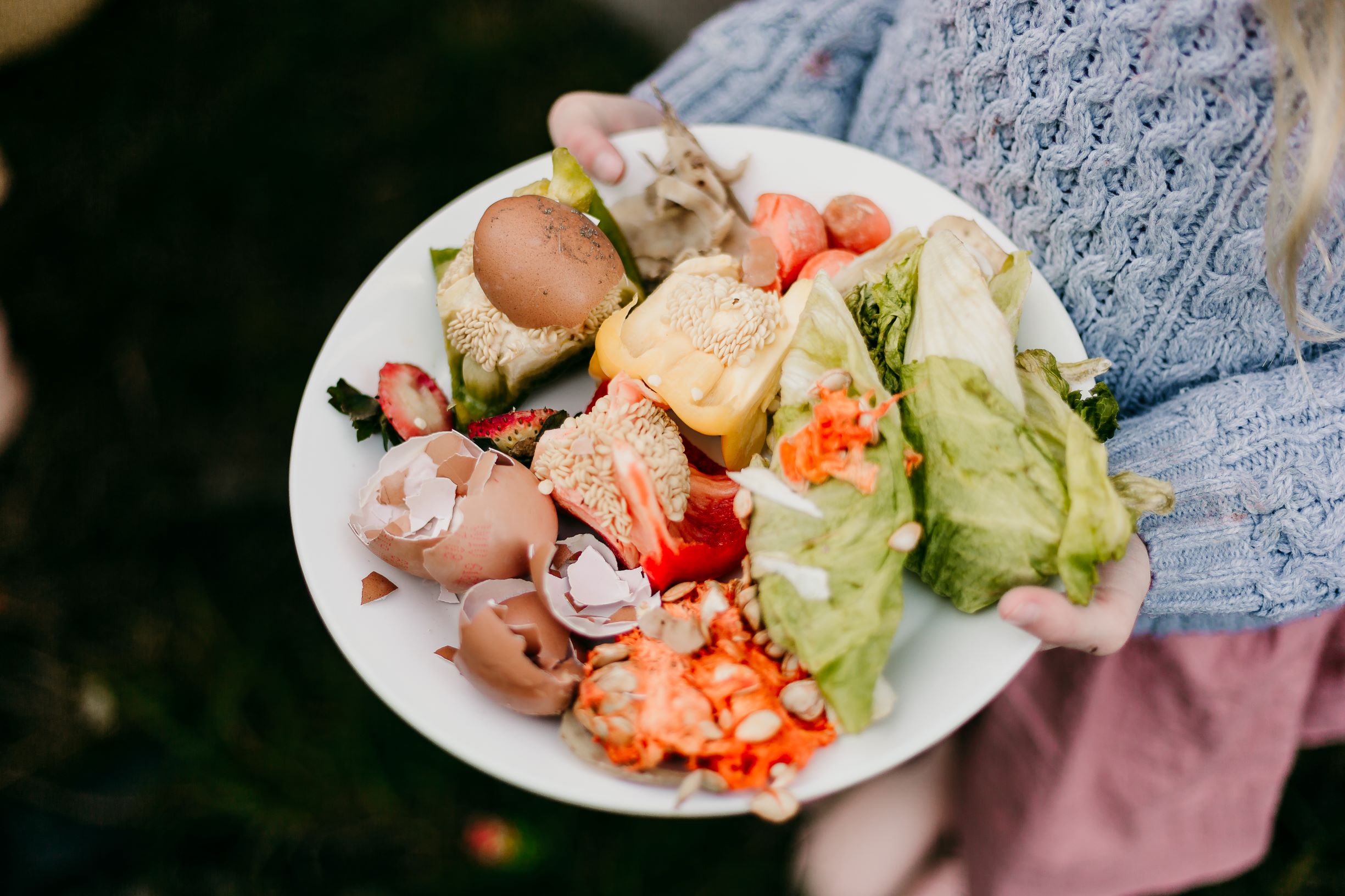 Amazon.com: Tumbleweed