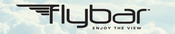 Amazon.com: Flybar Inc: Safety Gear