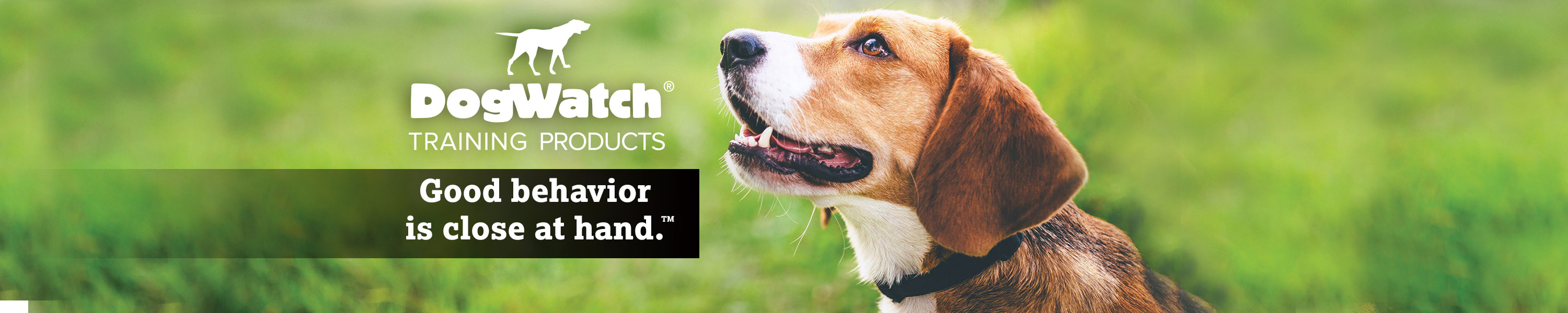 Amazon.com: DogWatch: Bark Collar