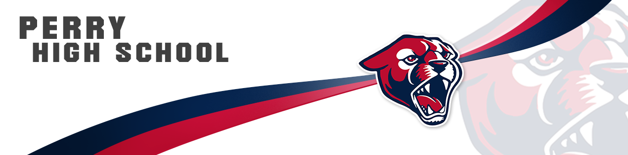 Amazon.com: ProSphere: Perry Pumas (AZ)