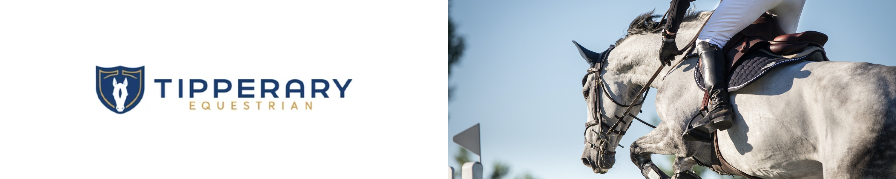 Amazon.com: Tipperary Equestrian: Vests