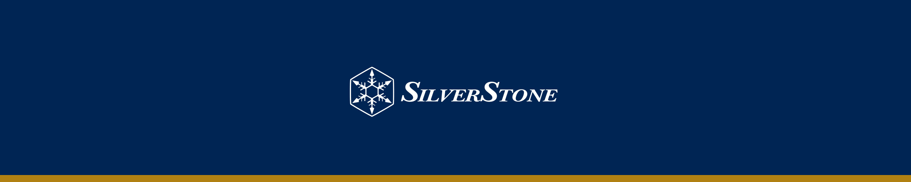 Amazon.com: SilverStone: Cases