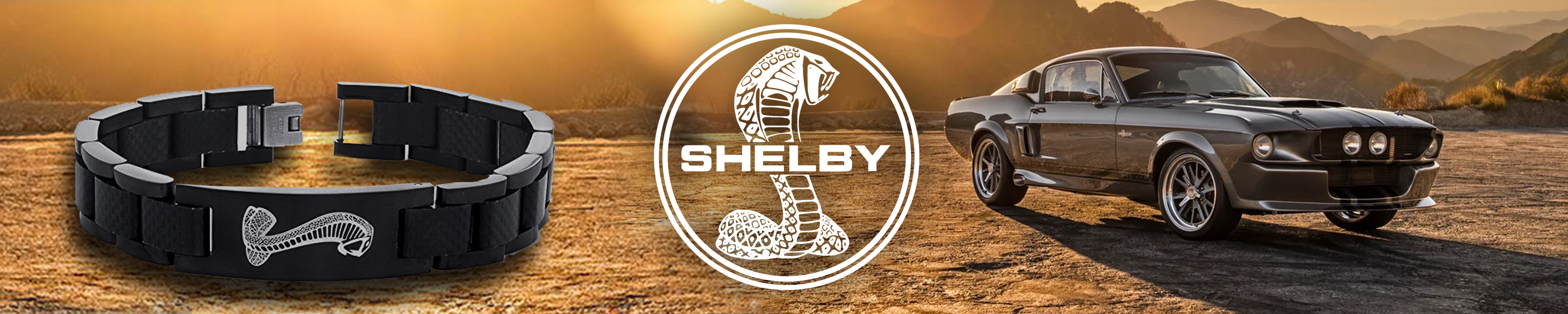 Amazon.com: SHELBY