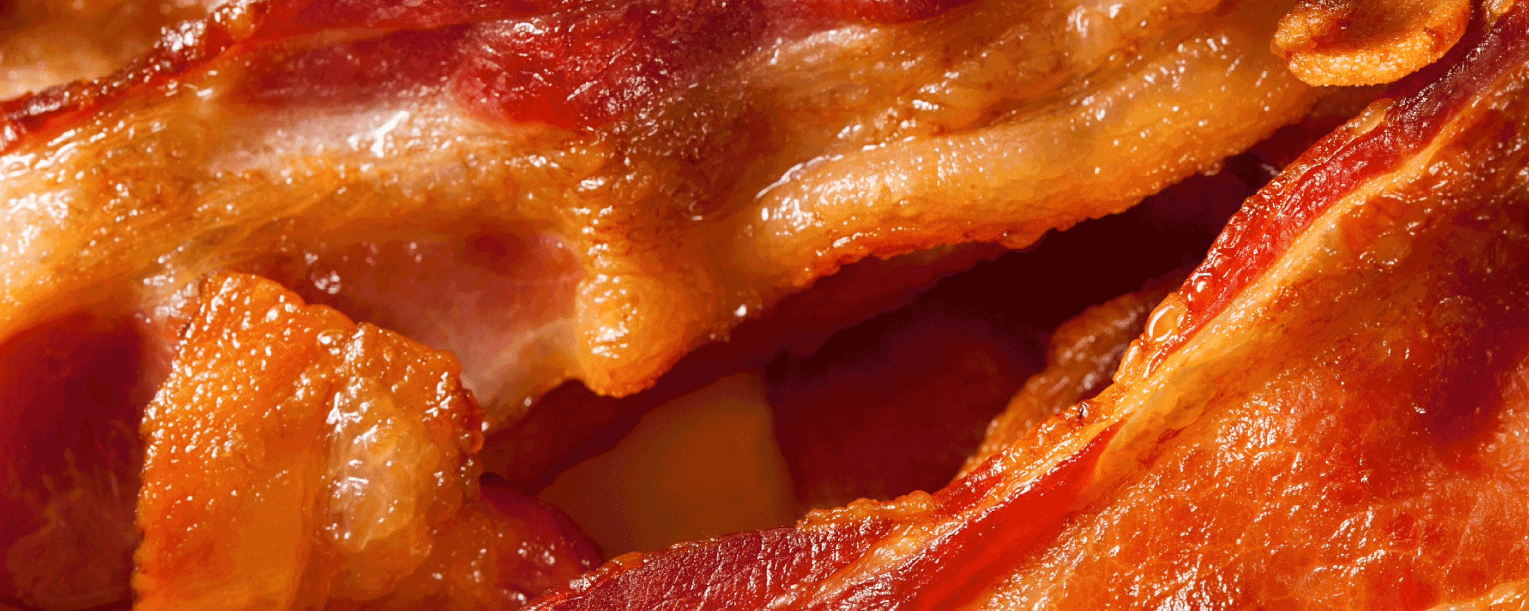 Amazon.com: Bacon Pro