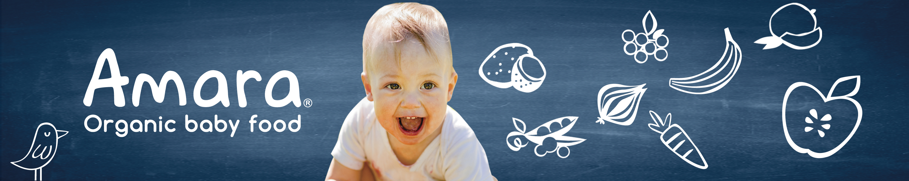 Amazon.com: Amara Baby Food