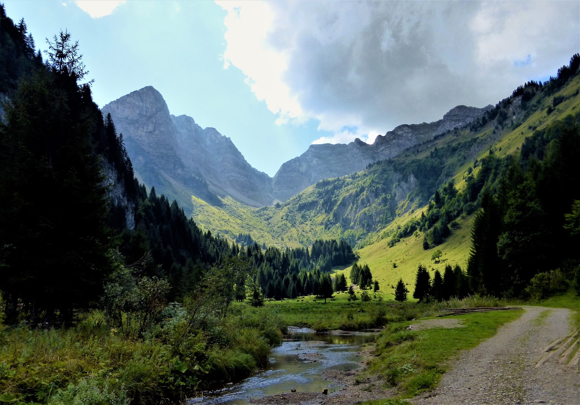Amazon.com: American Backcountry: Trails