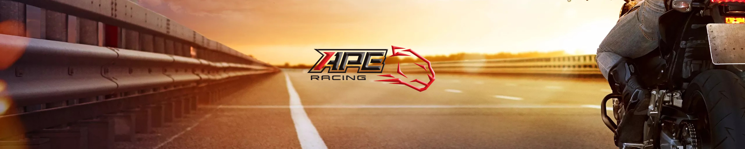 Amazon.com: APE RACING: PERFORMANCE FILTERS