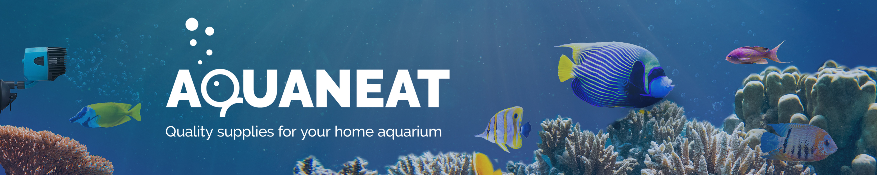 Amazon.com: Aquaneat