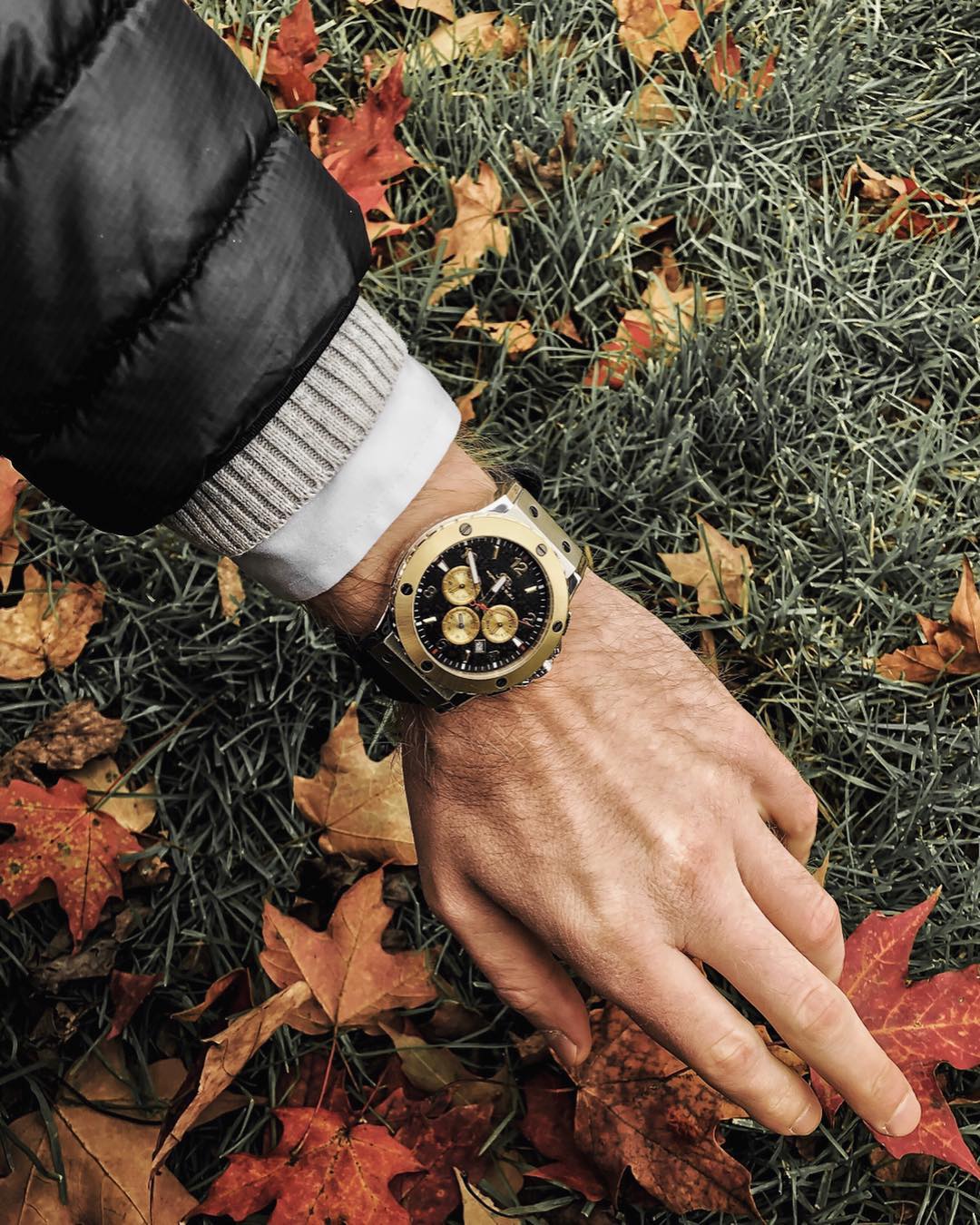 Amazon.ca: WatchMint: Multi function
