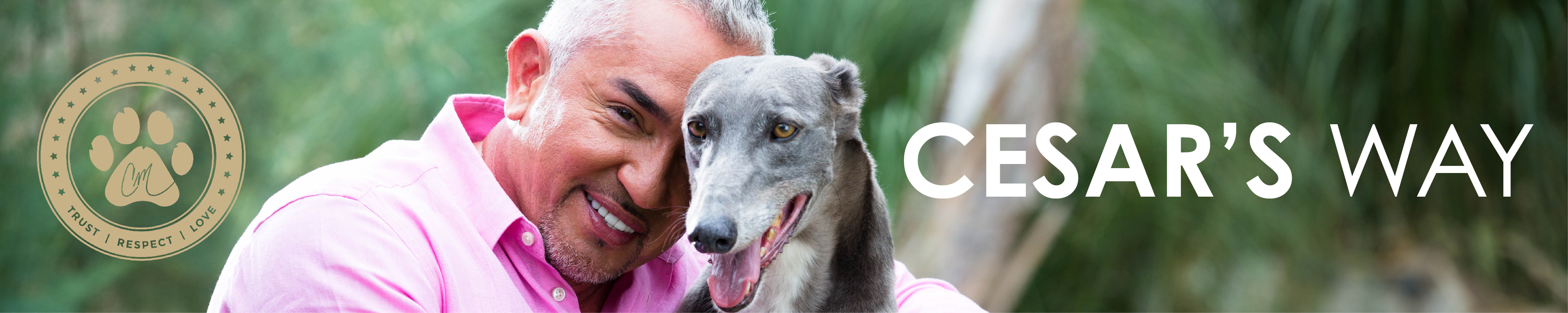 Amazon.com: Cesar's Way: Collars