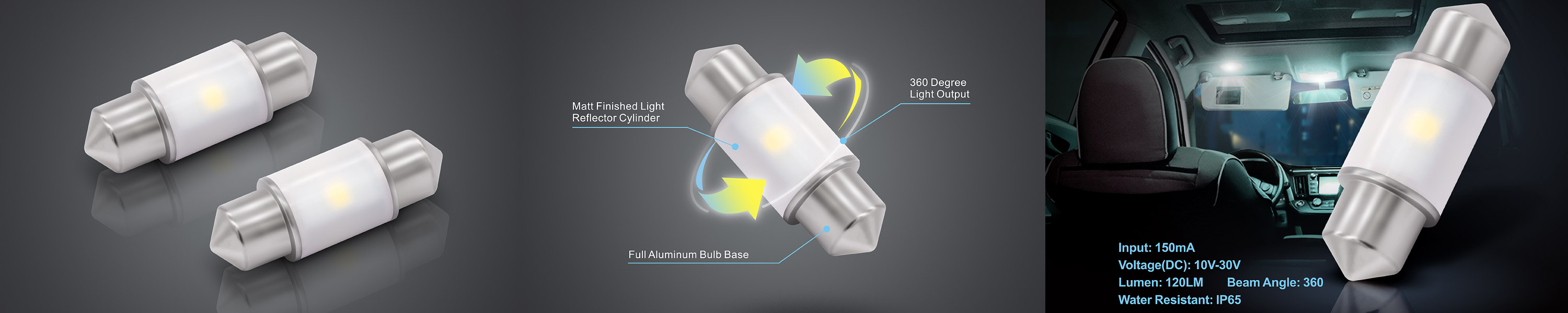 Amazon.com: SIRIUSLED: 31MM/DE3175 LED