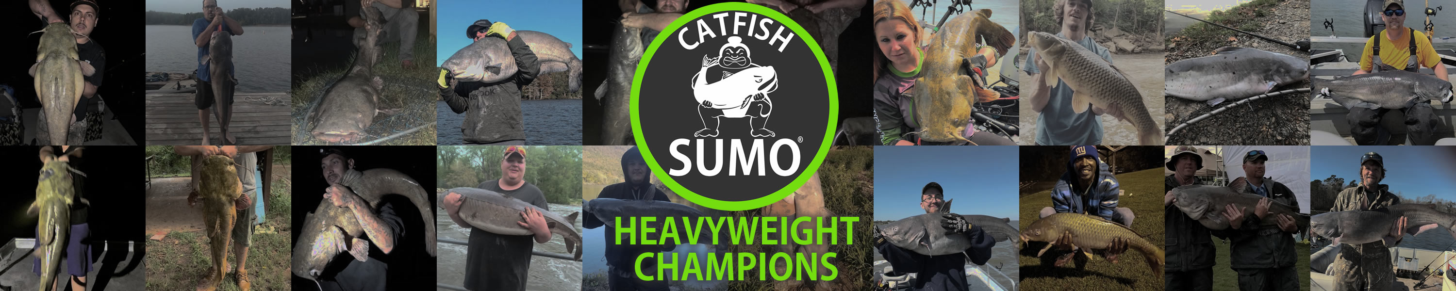 Amazon.com: Catfish Sumo