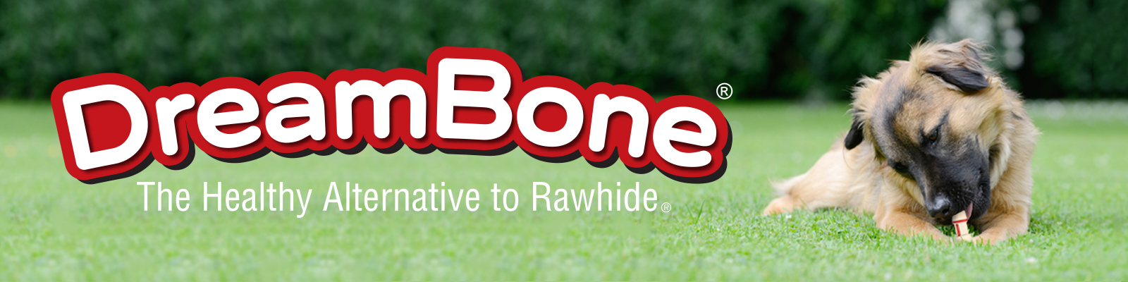 Amazon.com: Dreambone: Innovative Chews