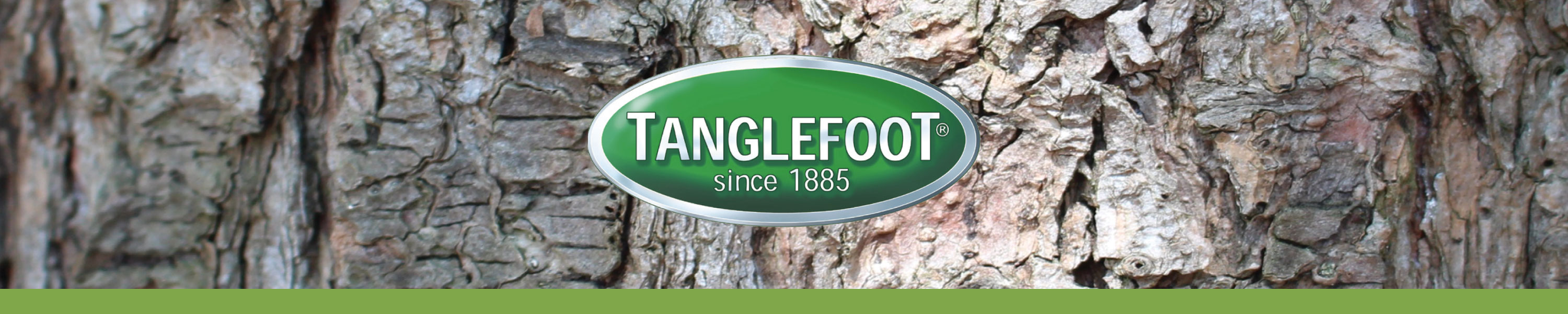 Amazon.com: Tanglefoot