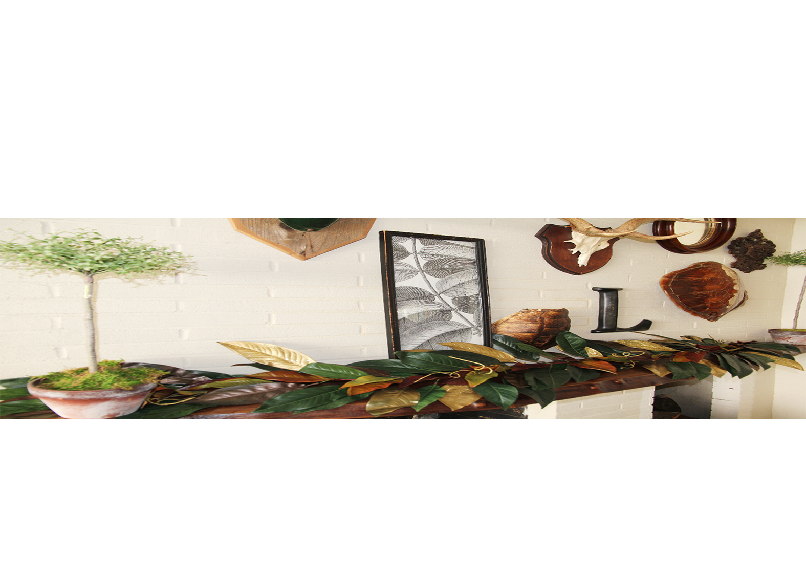 Amazon.com: Lee Display