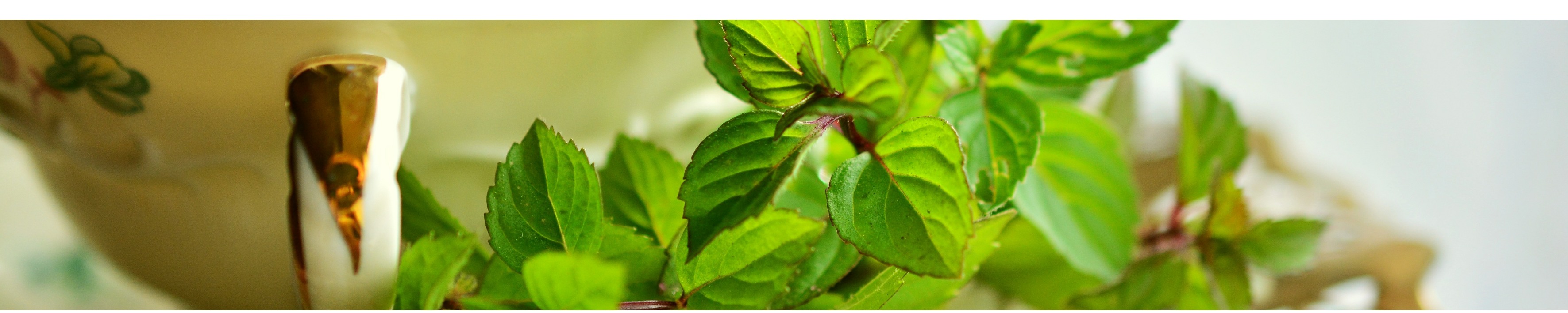 Amazon.co.uk: SAFLAX: Medicinal plants