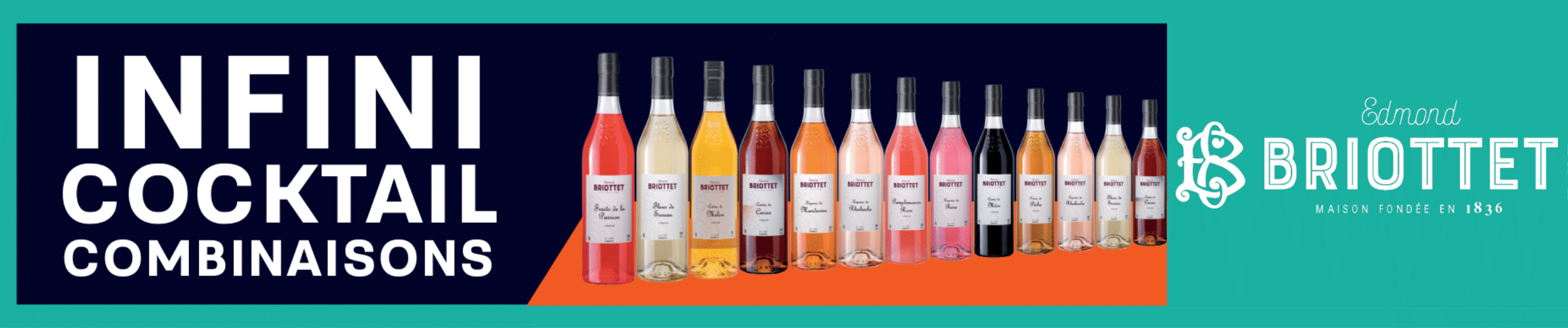 Amazon.co.uk: Briottet: Cactus Jack