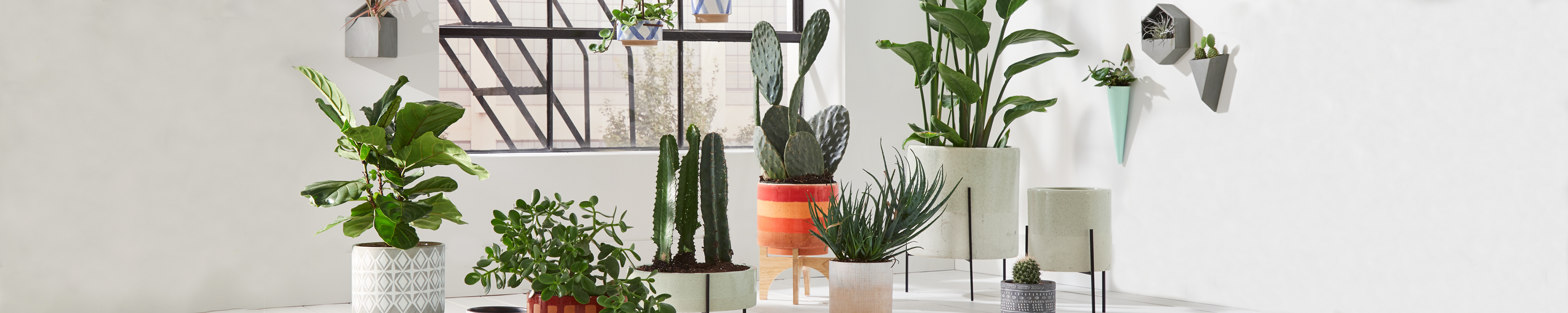 Amazon.co.uk: Amazon Furniture: Décor