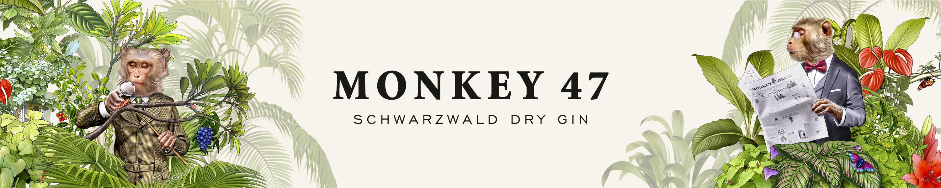 Amazon.de: Monkey 47