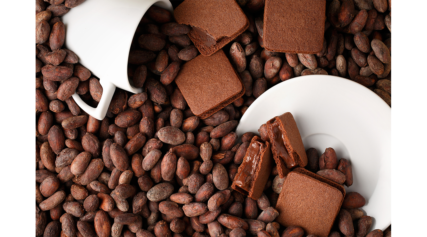 Amazon.co.jp: VANILLABEANS（バニラビーンズ）