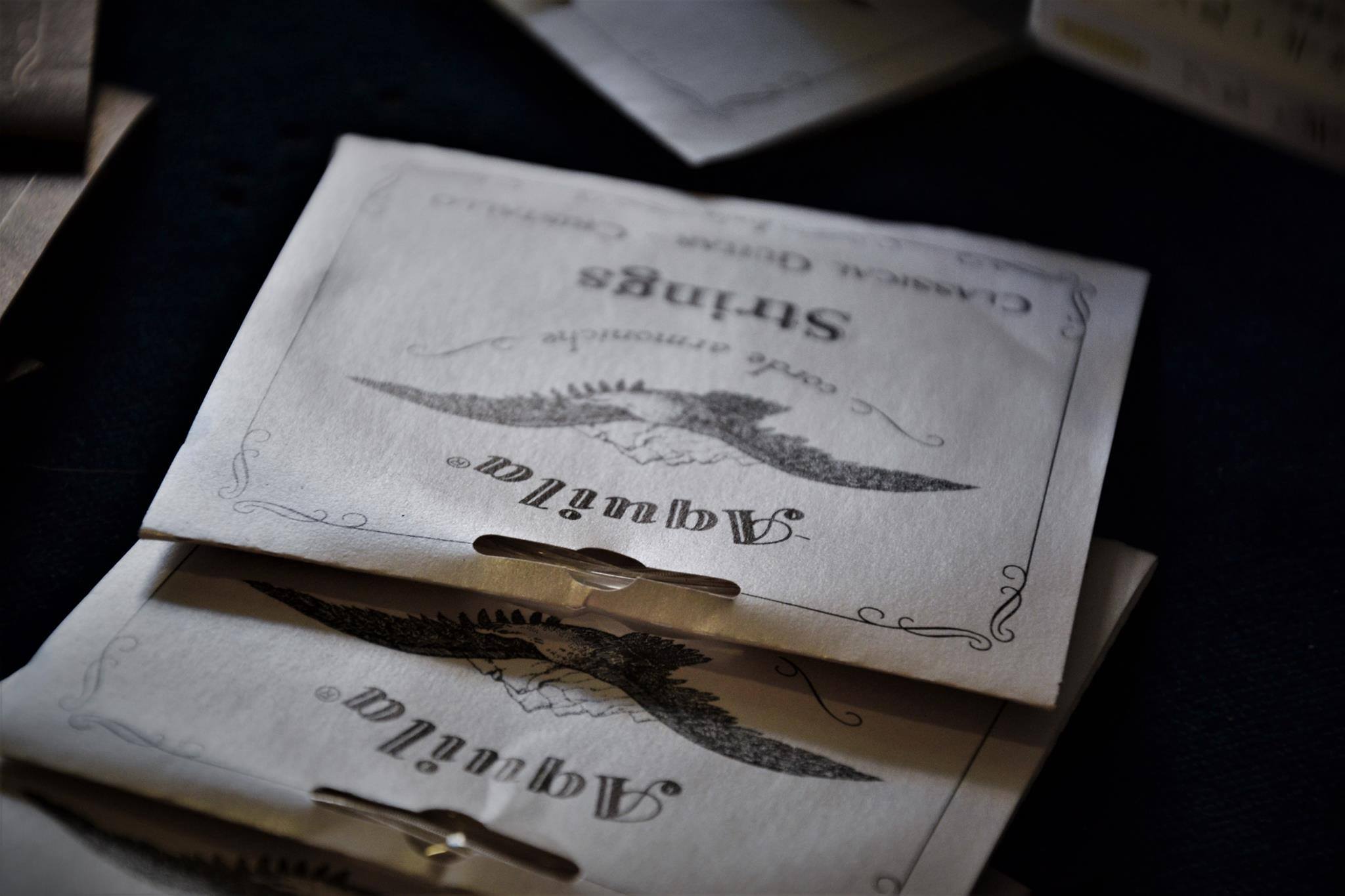 Amazon.co.jp: Aquila