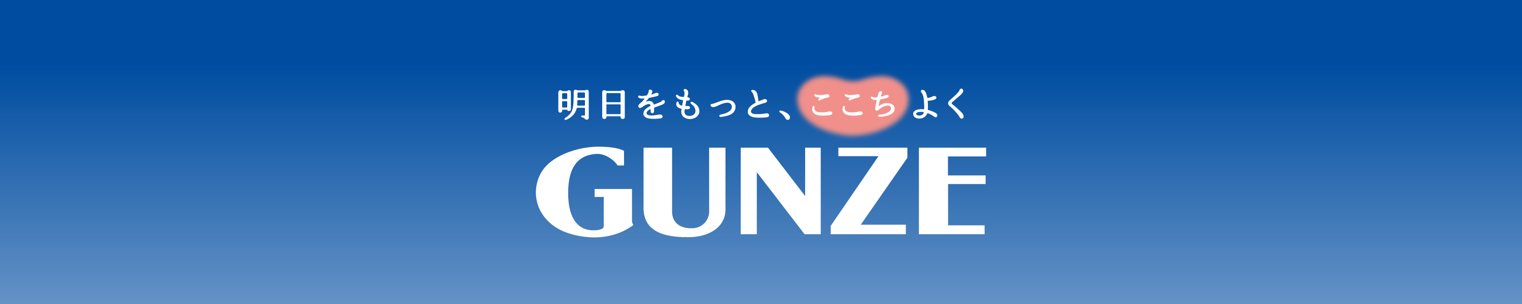 Amazon.co.jp: GUNZE: ストッキング