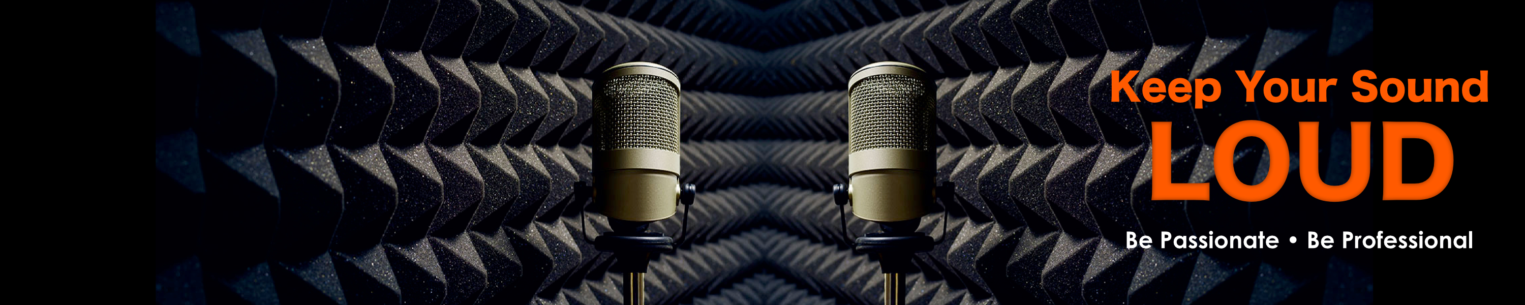 Amazon.in: MMT Acoustix: Mega Bass Traps