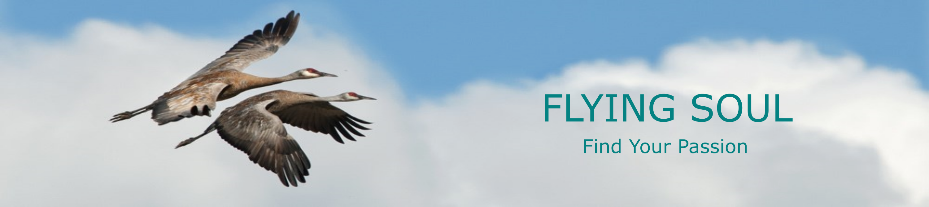 Amazon.in: FLYING SOUL