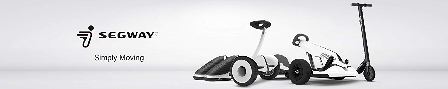Amazon.ca: Segway