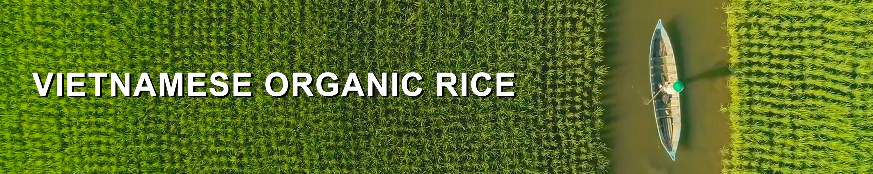 Amazon.com: ECOBA Organic Rice