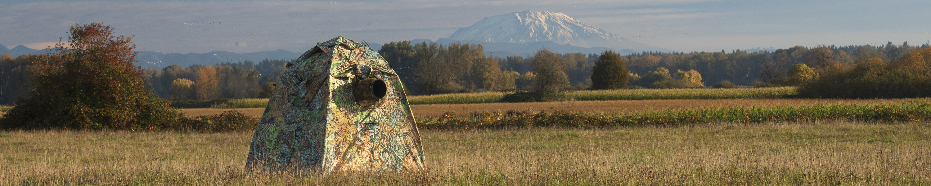 Amazon.com: Tragopan