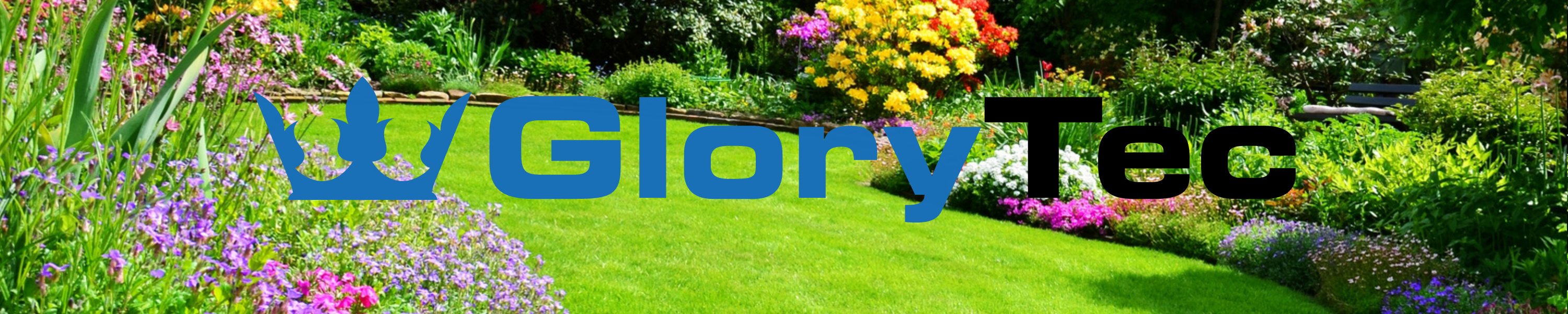 Amazon.com: Glorytec: Kitchen