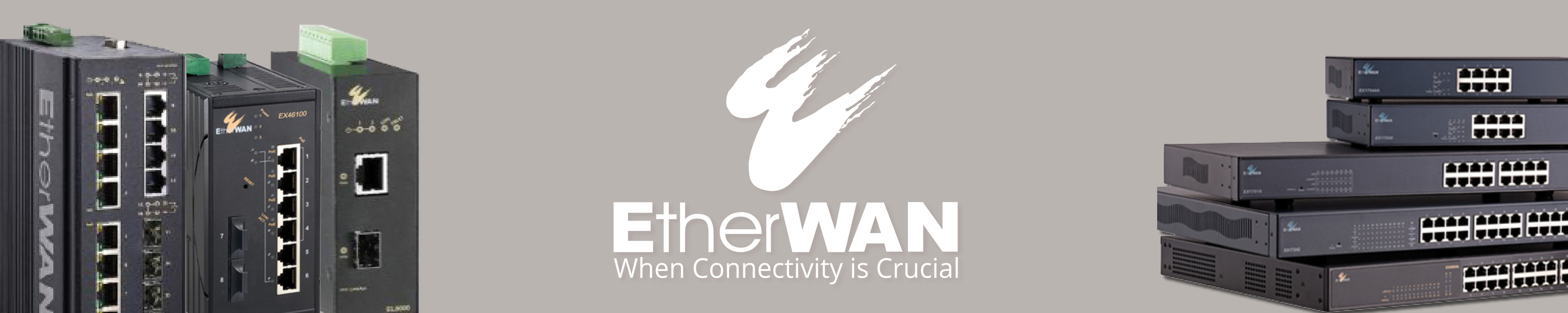 Amazon.com: EtherWAN