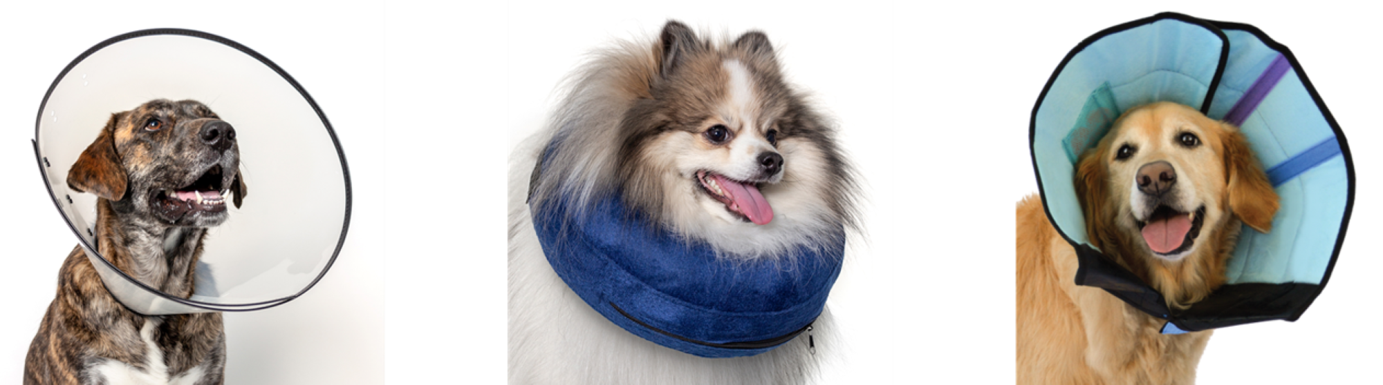 Amazon.com: CALM PAWS RECOVERY SOLUTIONS