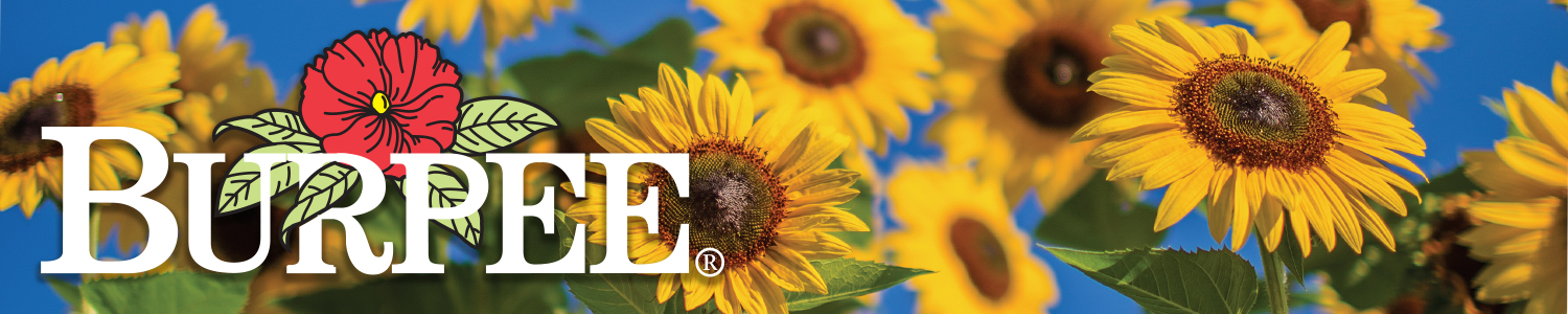 Amazon.com: Burpee: Organic Fertilizer