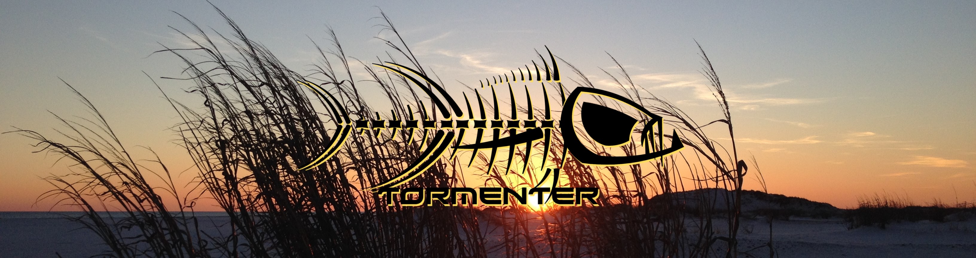 Amazon.com: Tormenter: ABOUT TORMENTER