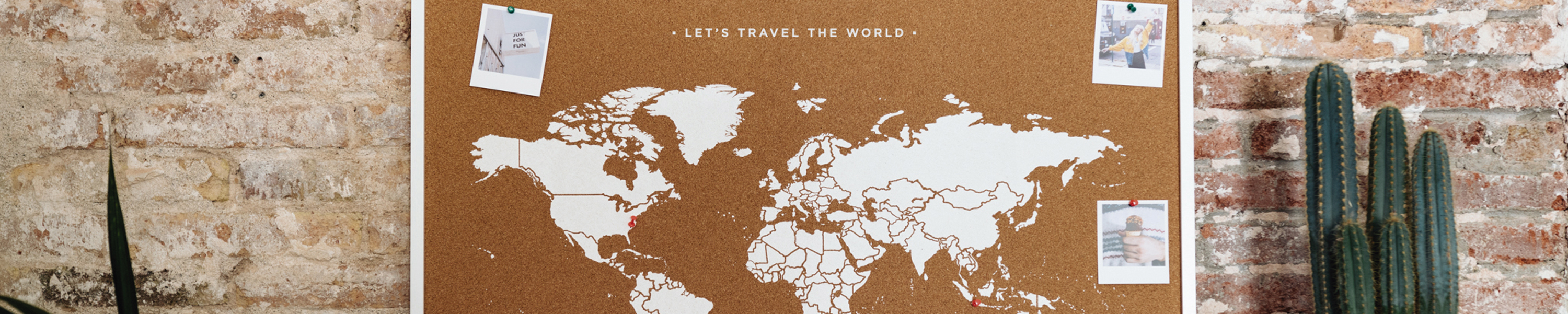 Amazon.com: Miss Wood: Natural World Maps