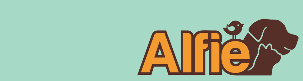 Amazon.com: Alfie: Deals