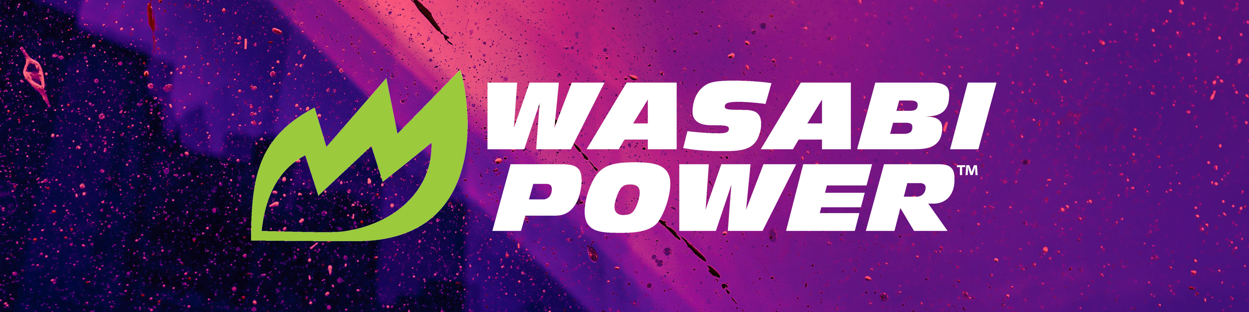 Amazon.com: Wasabi Power: NP-W235