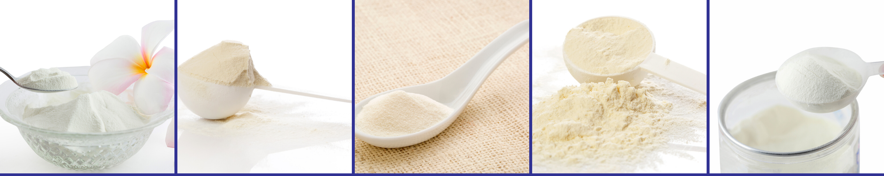 Amazon.com: Zen Principle: Collagen and Gelatin