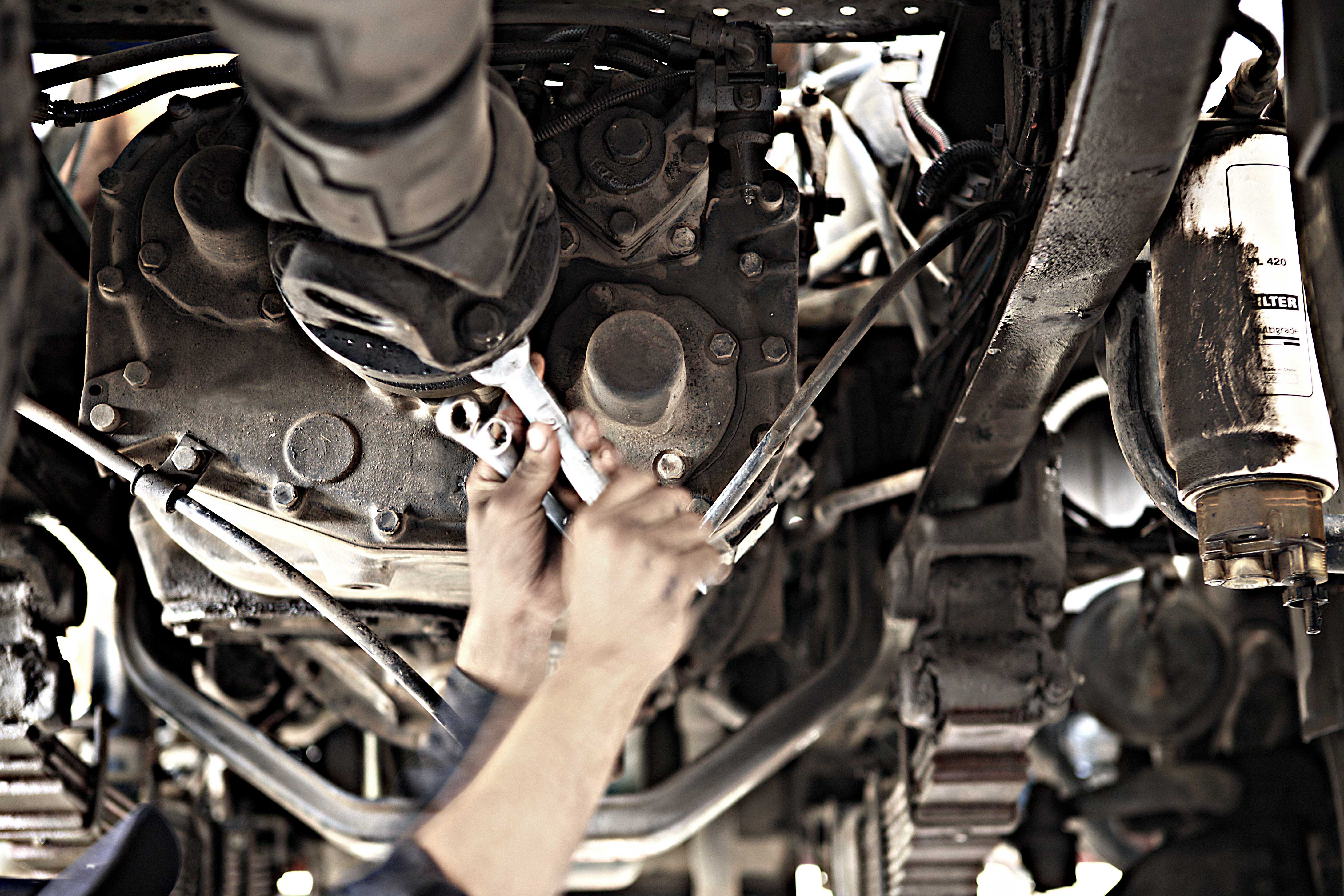 Amazon.com: Tiger Tool: Intermediate