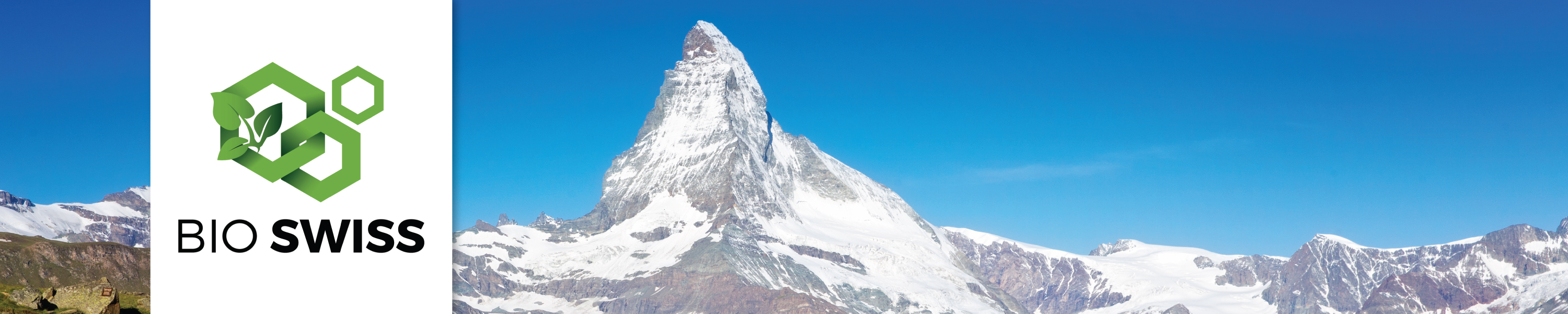 Amazon.com: BIO SWISS