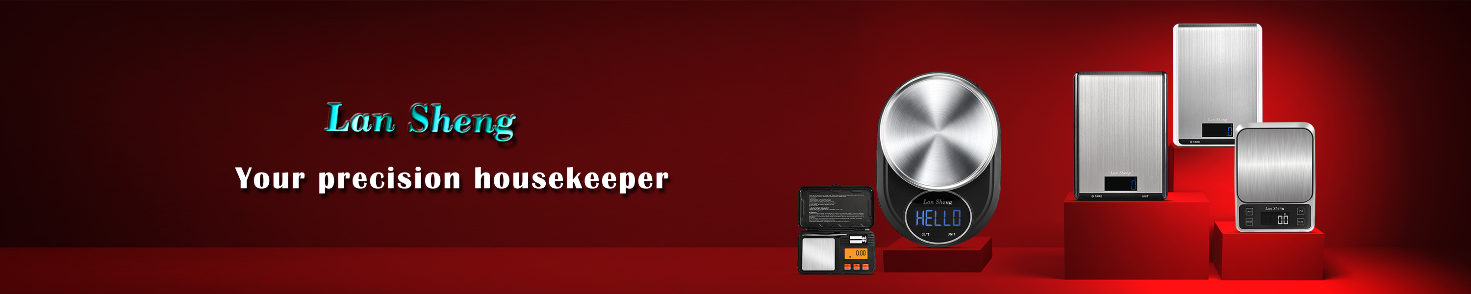 Amazon.com: Lan sheng Electronic Technology Co., Ltd