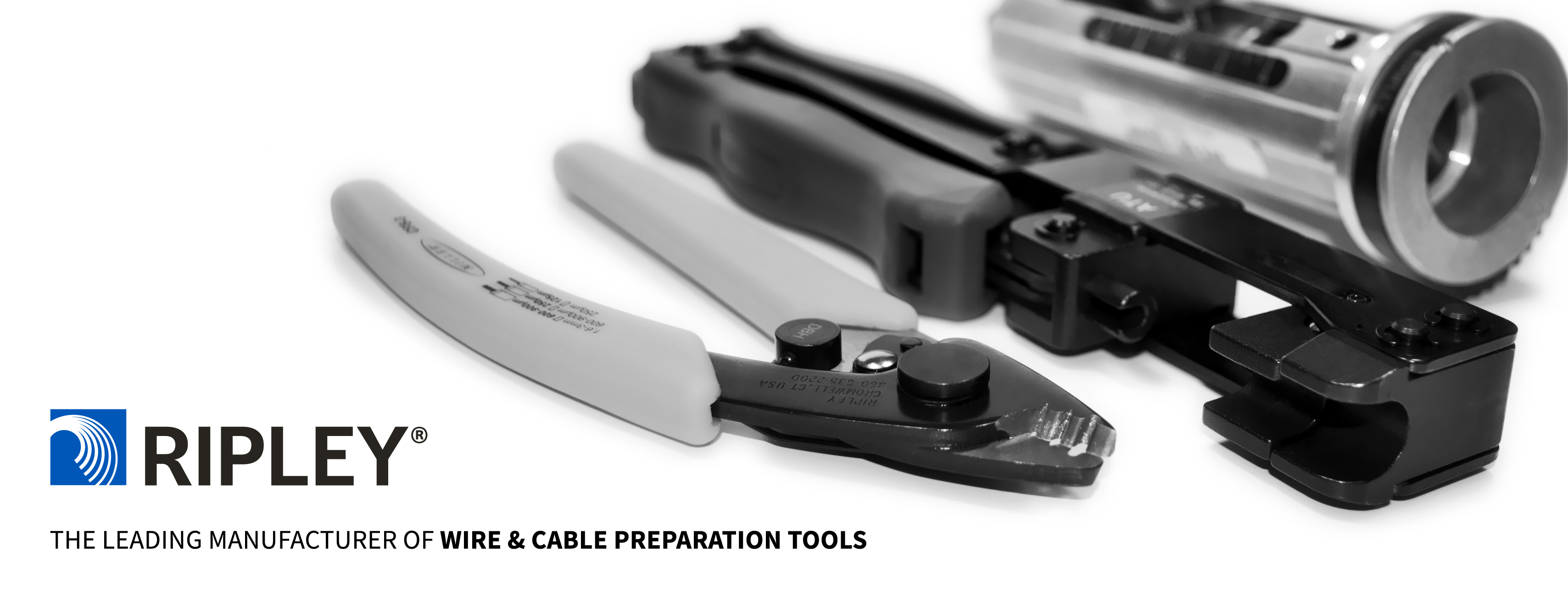 Amazon.com: RIPLEY®