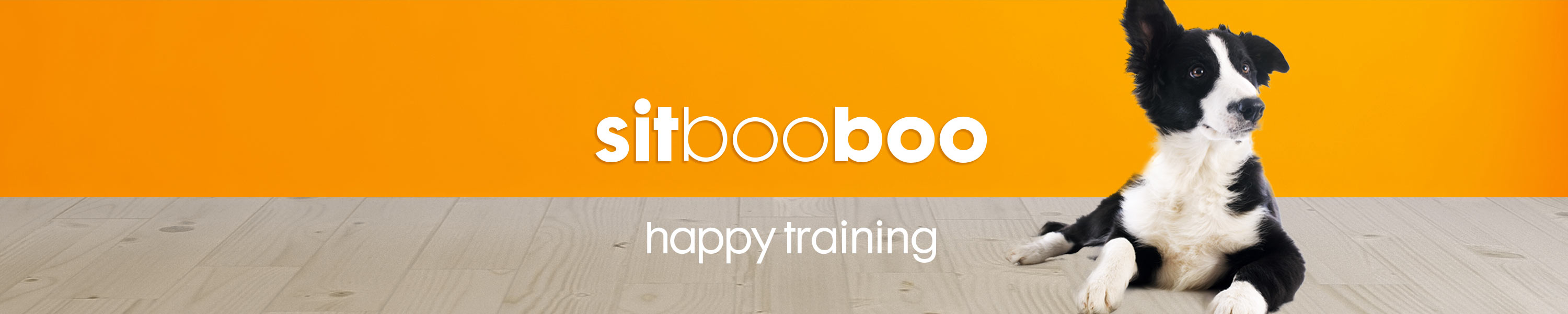 Amazon.com: Sit Boo-Boo