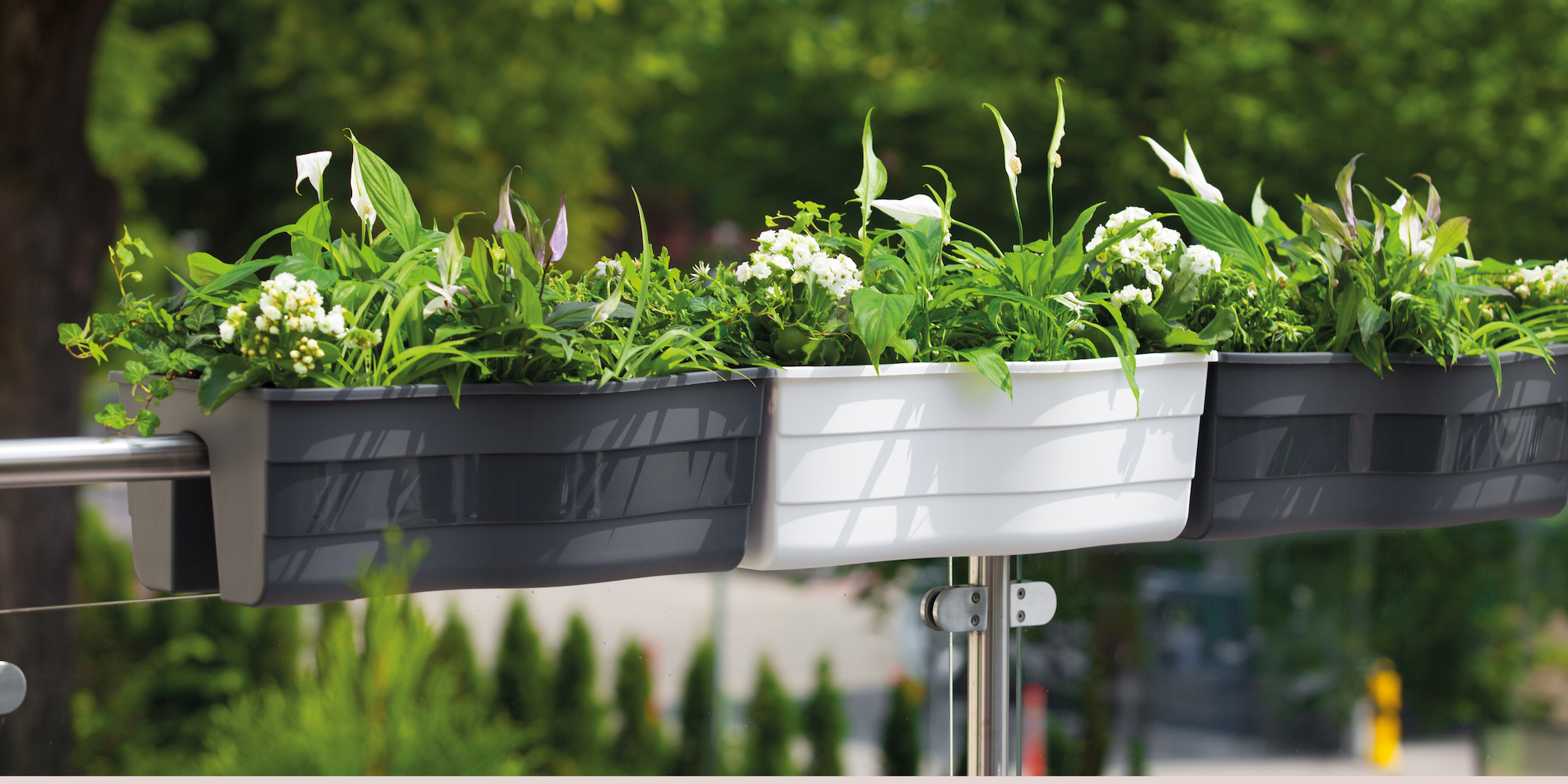 Amazon.com: United Products