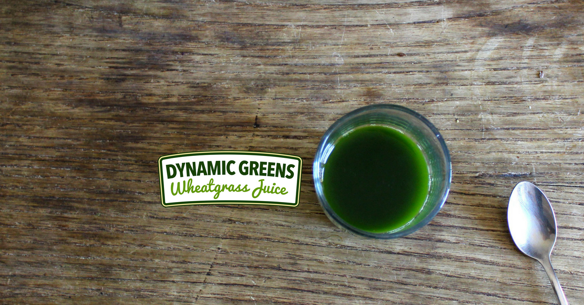 Amazon.com: Dynamic Greens