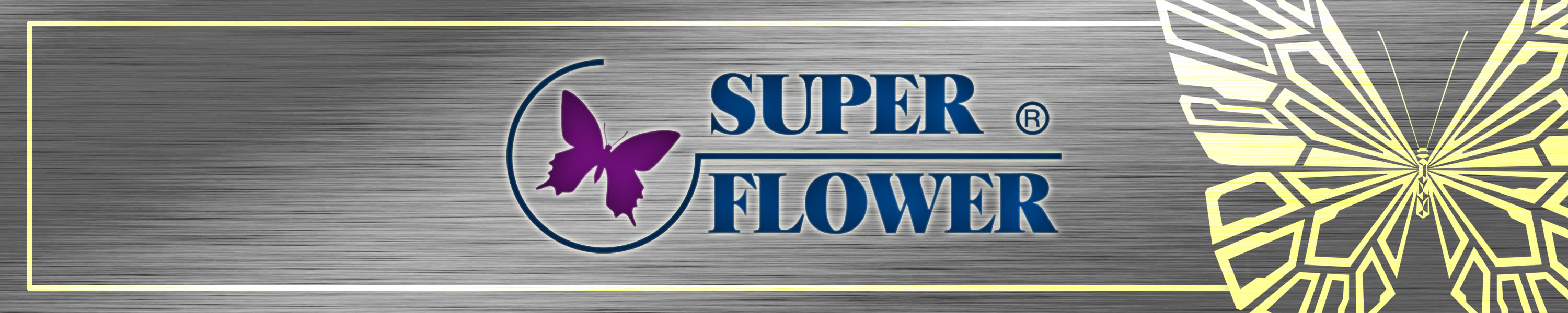 Amazon.com: Super Flower Power Supply