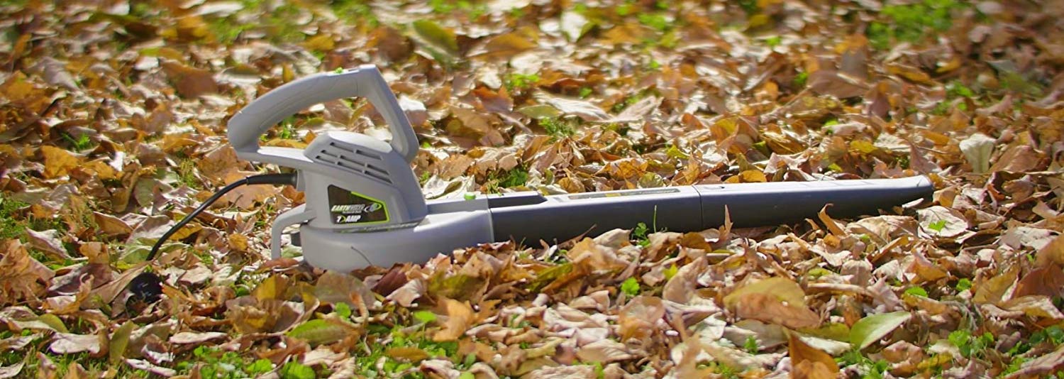 Amazon.com: Earthwise: Blowers